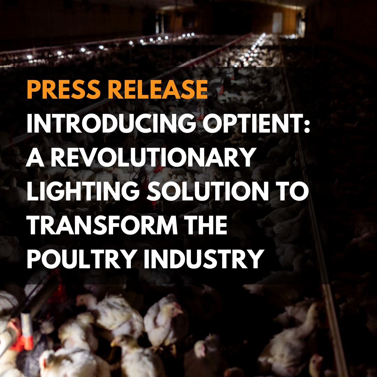 PRESS RELEASE: INTRODUCING OPTIENT, A REVOLUTIONARY GRADIENT LIGHTING SOLUTION TO TRANSFORM THE ...